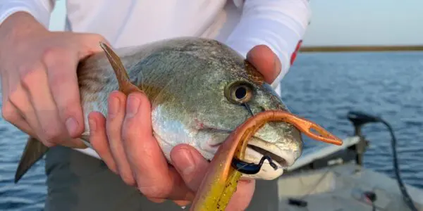 TERMINAL TACKLE Archives - Big Bite Baits