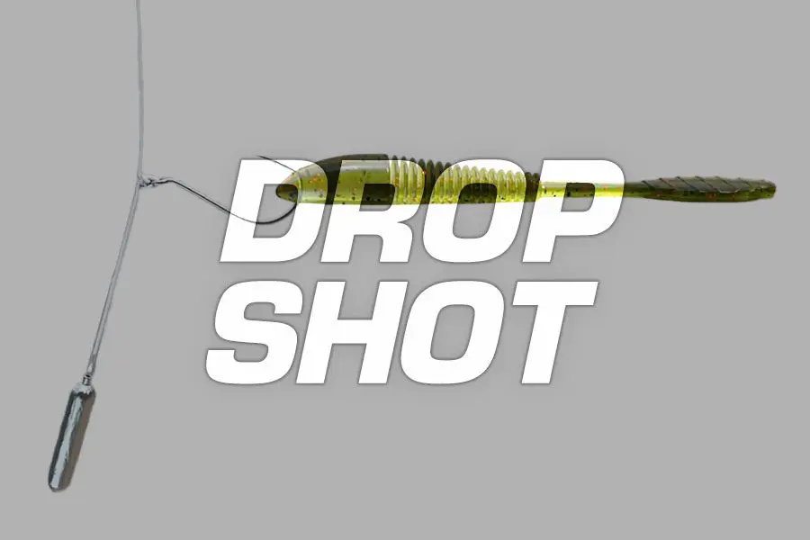 Shop By Rig - Big Bite Baits