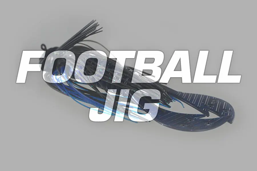 Shop By Rig - Big Bite Baits