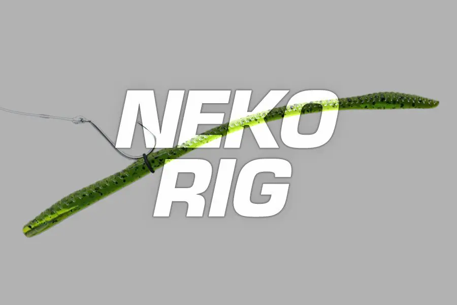 Shop By Rig - Big Bite Baits