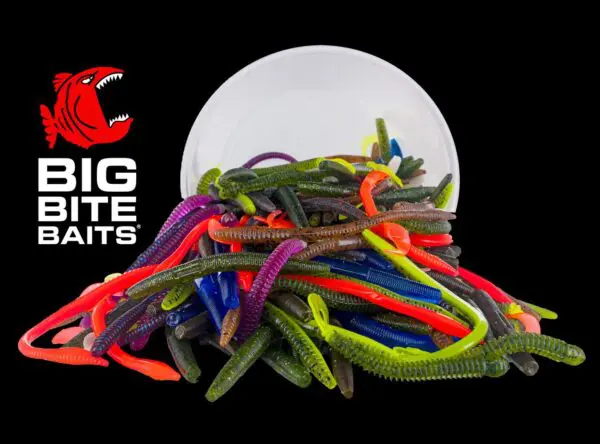 Worm Bucket - Big Bite Baits