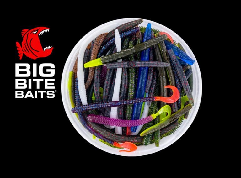 Worm Bucket - Big Bite Baits